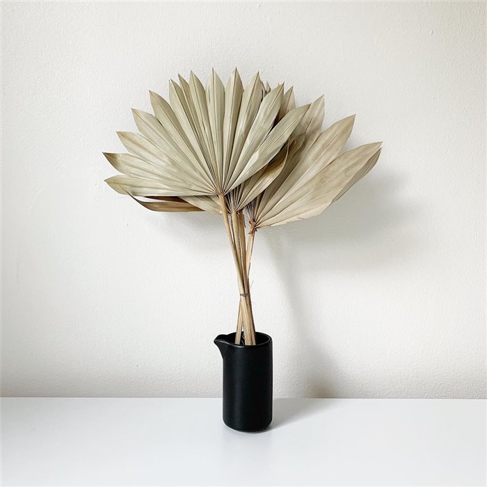 FEUILLE DECORATIVE-FORME SOLEIL 2 TIGES-ASST – Orca