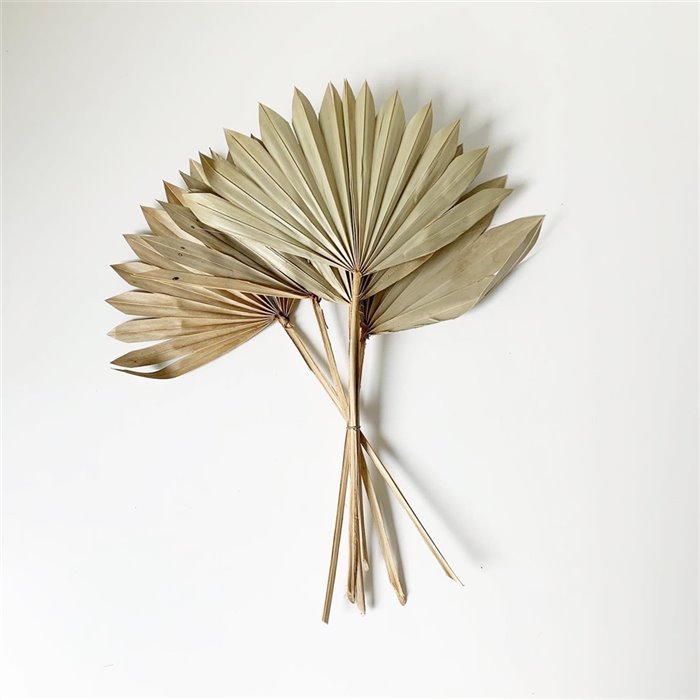 FEUILLE DECORATIVE-FORME SOLEIL 2 TIGES-ASST – Orca