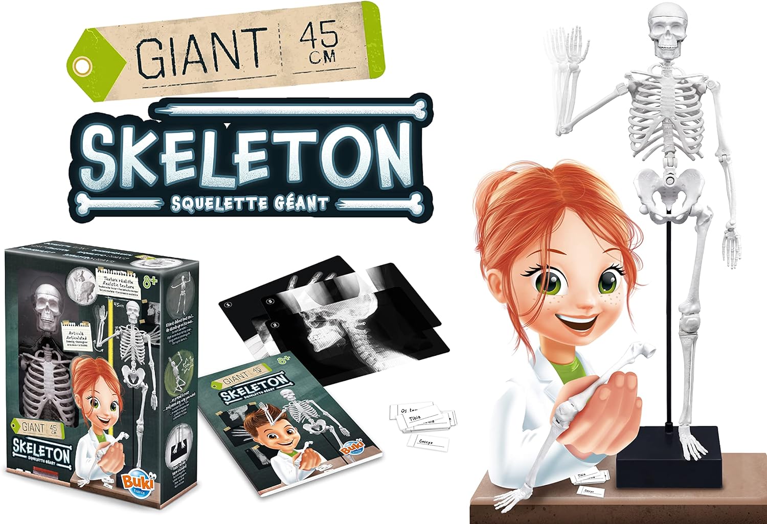 JEU DE SCIENCE SQUELETTE ARTICULE 45CM+8ANS – Orca